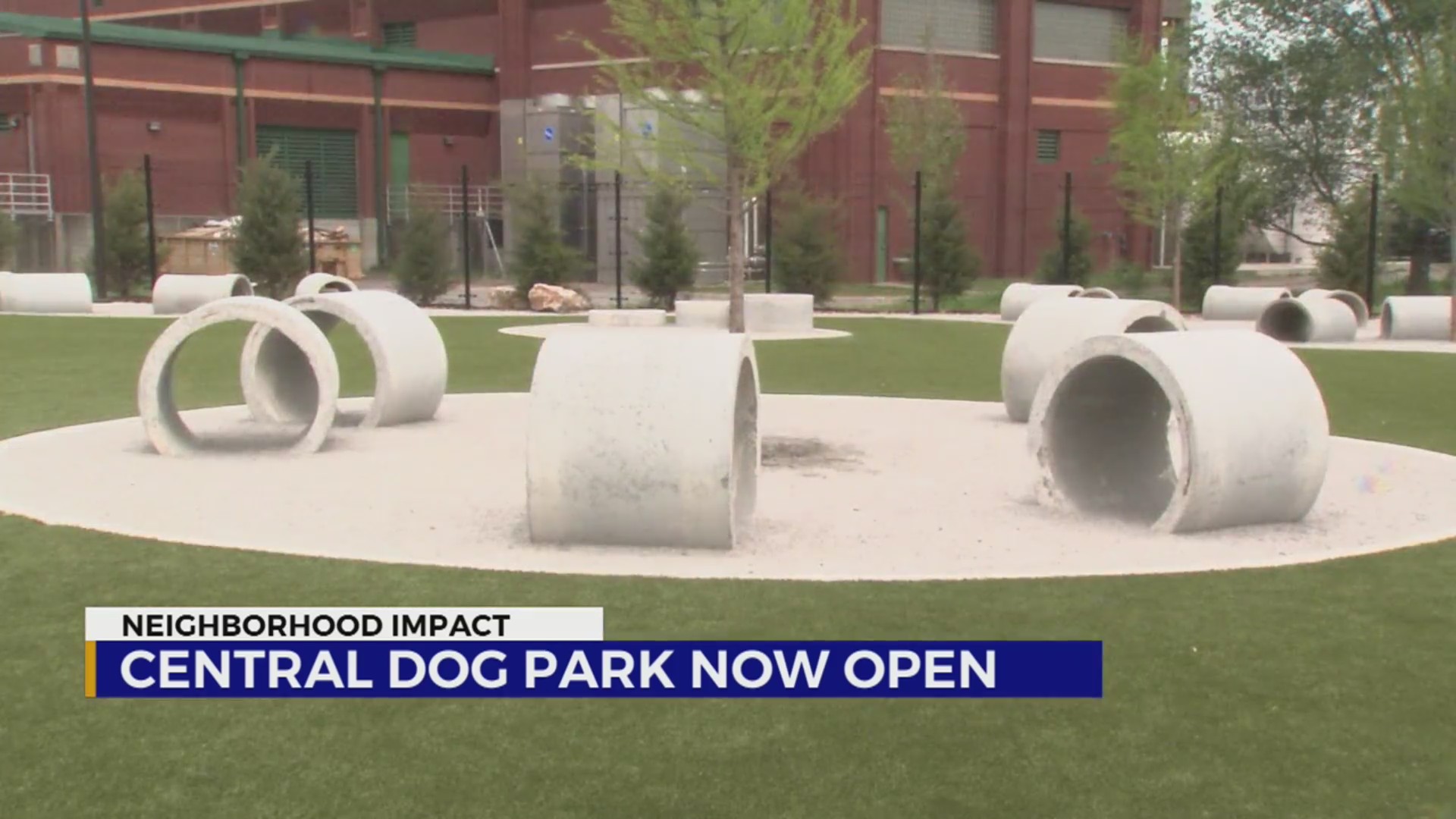 Neighborhood Impact: Central Dog Park now open – WKRN News 2