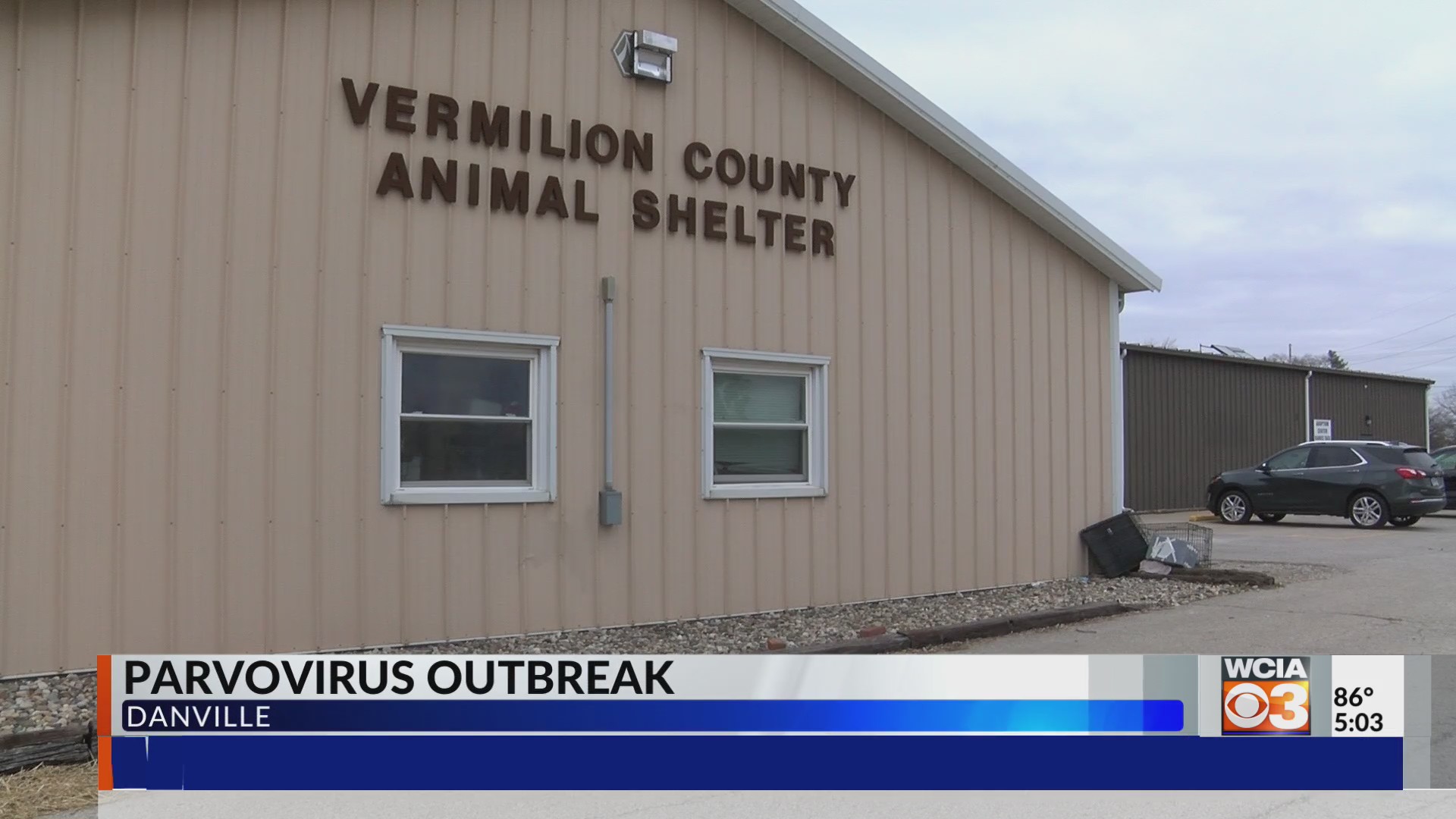 Vermilion County Animal Shelter temporarily closing amid parvo outbreak ...